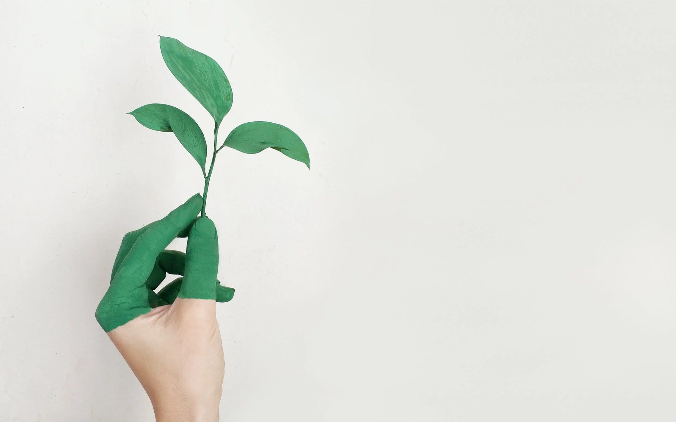 Los 5 beneficios de tener un negocio social - Asesoría PYB